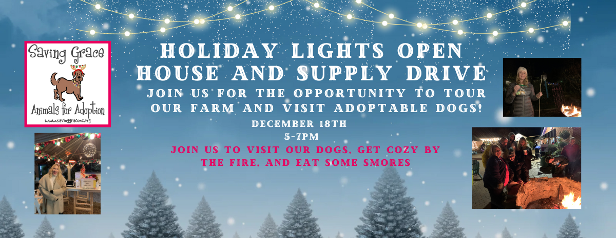 Holiday Lights Open House & Donation Drive 12/18/24